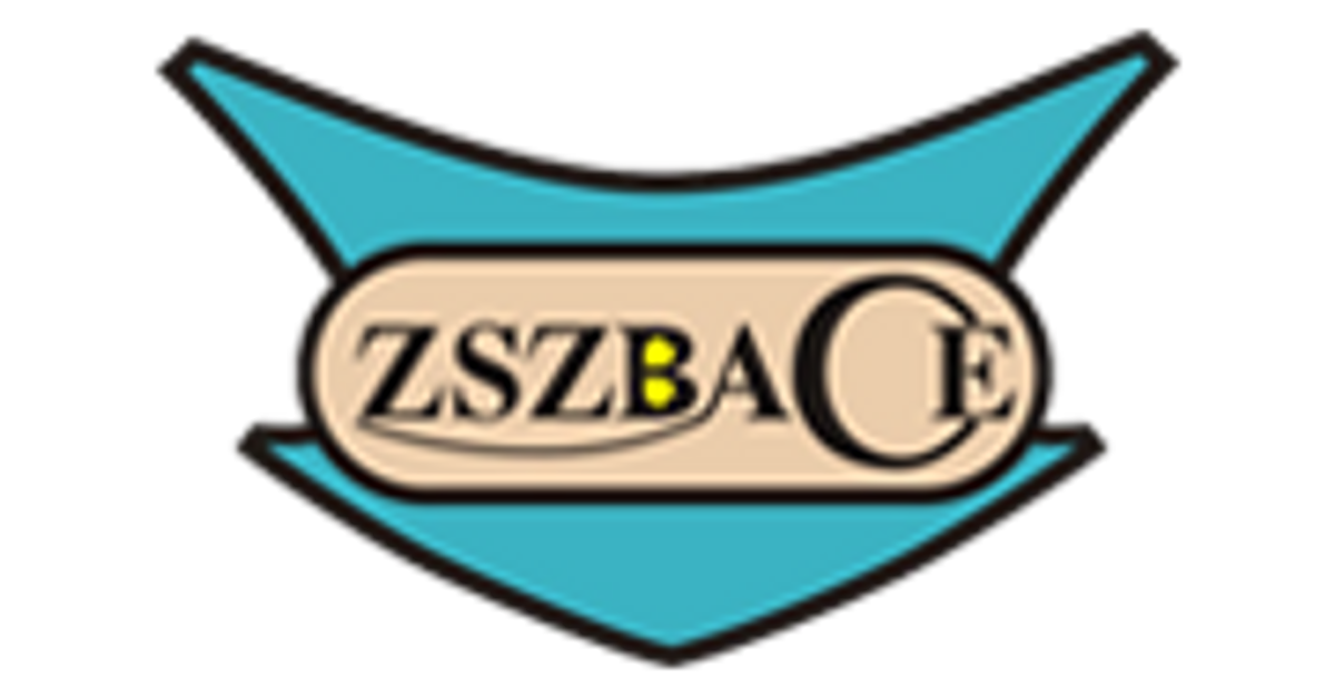 ZSZBACE | Get Back to Life with our Premium Braces & Supports – zszbace